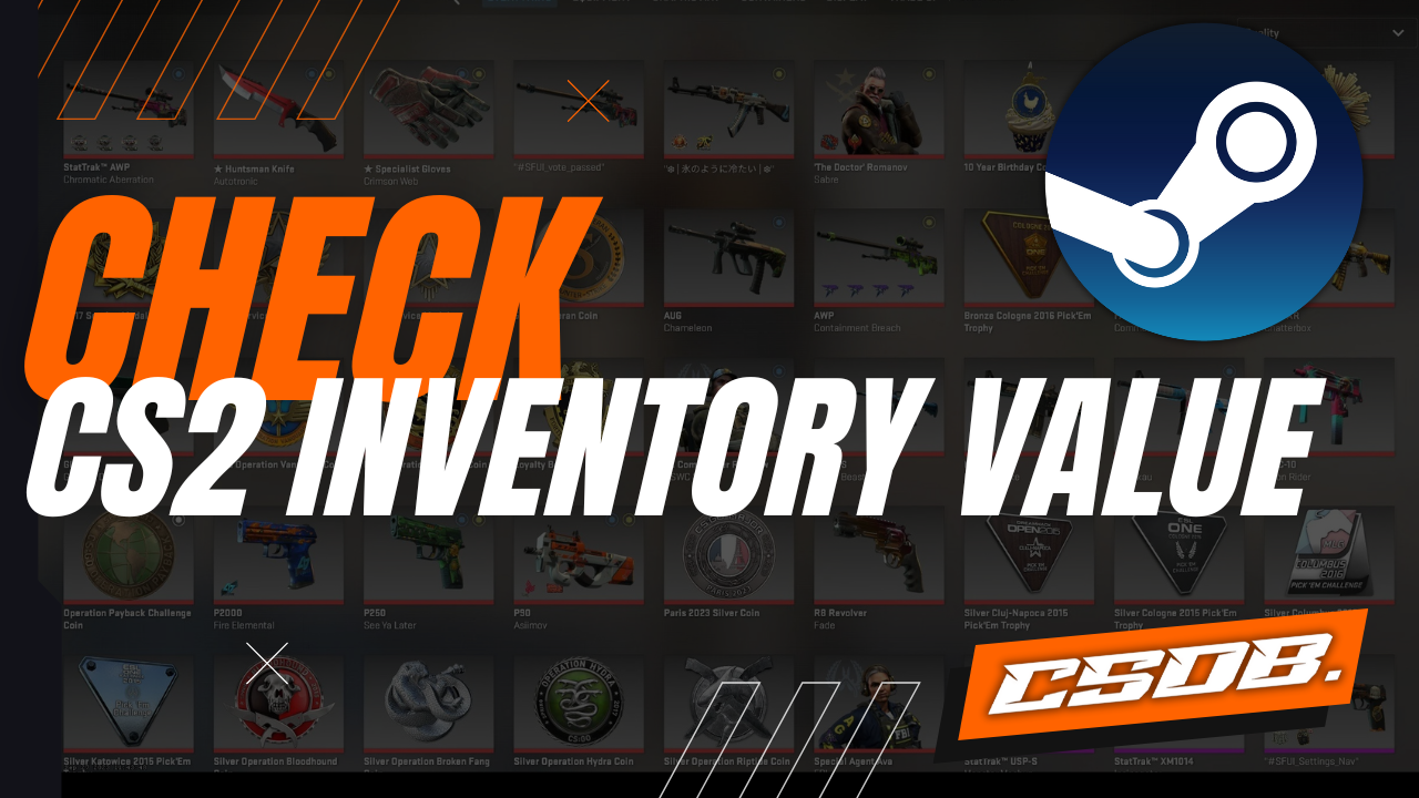 How To Check The Value Of Your Counter-Strike Inventory – CSDB