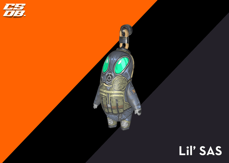 A Complete Guide To CS2 Weapon Charms – CSDB