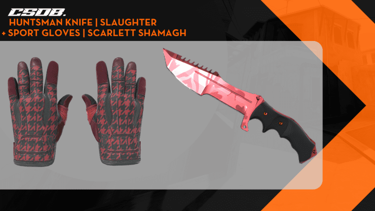 The Best Glove and Knife Combos in CS2 – CSDB