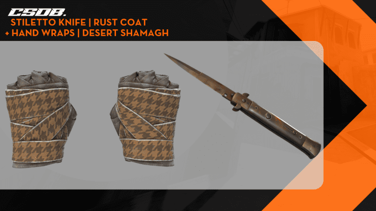 The Best Glove and Knife Combos in CS2 – CSDB